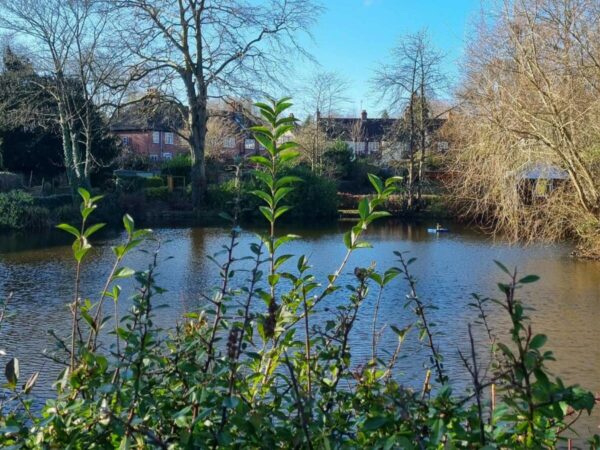 My Placement at Moor Pool – Moor Pool Heritage Trust