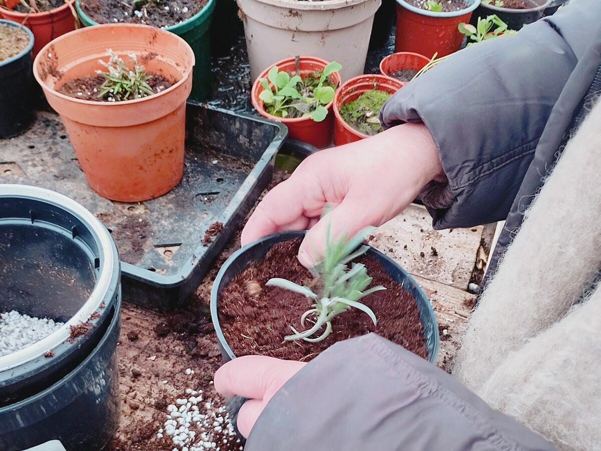 Why the Carless Eco Centre is a great place to be right now – Moor Pool ...
