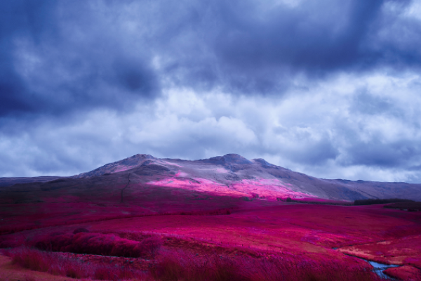 MoorPool Events – Moor Pool Heritage Trust