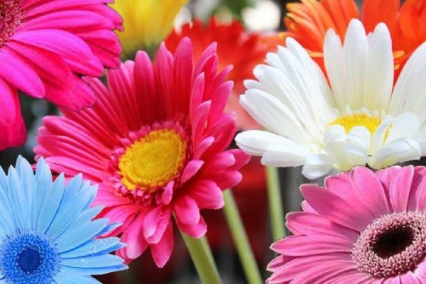 MoorPool Events – Moor Pool Heritage Trust